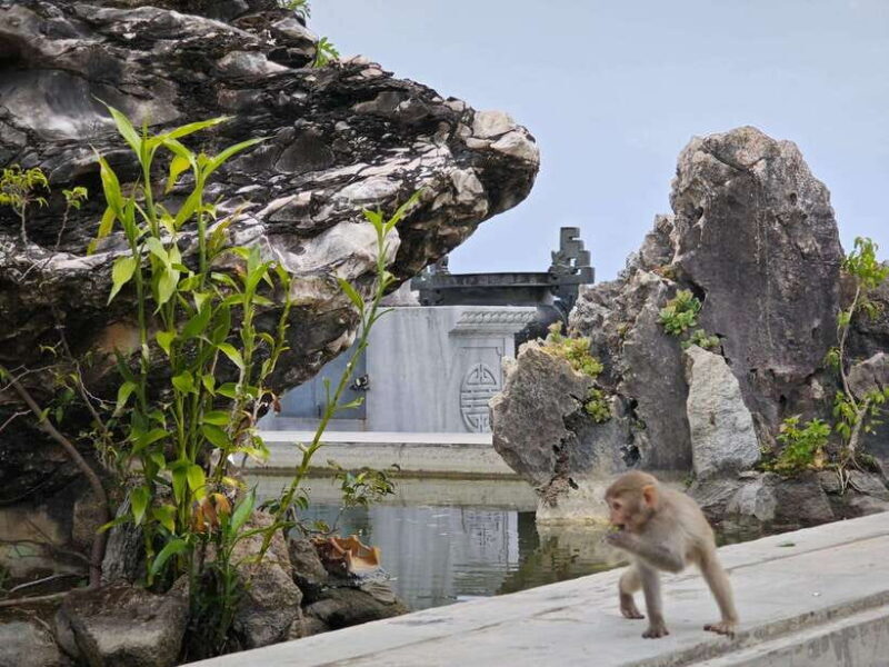 Da Nang : Private Car to Hue with Multi Sightseeing Stops - Who Is This Tour Best For?