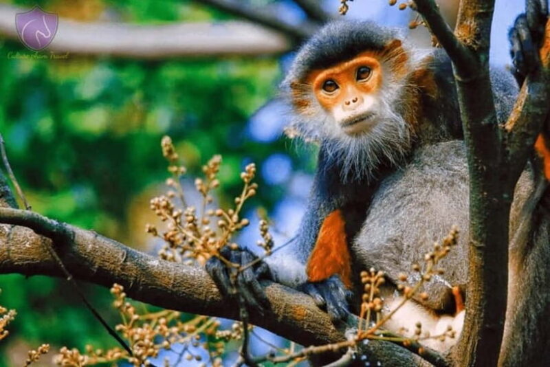 Da Nang: Private Half-day City Highlights Tour - Key Points