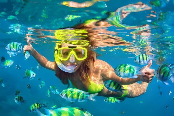 Da Nang: Son Tra Peninsula Exploration - Snorkeling, Fishing - What Travelers Say