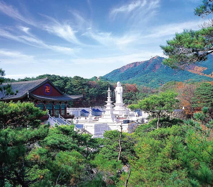 Daegu Day Tour with 83 Tower Visit & Palgongsan Cable Car - Reaching New Heights: E-World 83 Tower