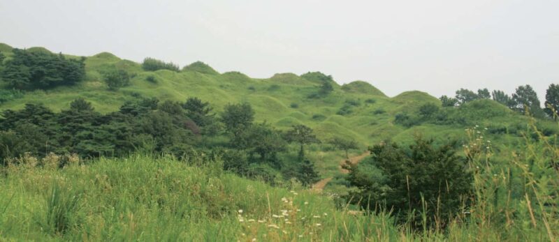 Daegu Day Tour with 83 Tower Visit & Palgongsan Cable Car - Practical Details and Value