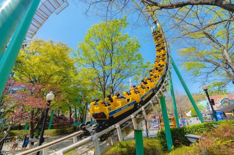 Daegu: E-World Theme Park & 83 Tower Observatory Ticket - Key Points