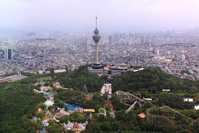 Daegu Hop on Hop off City Tour Bus Discount Ticket () - Weighing the Pros and Cons