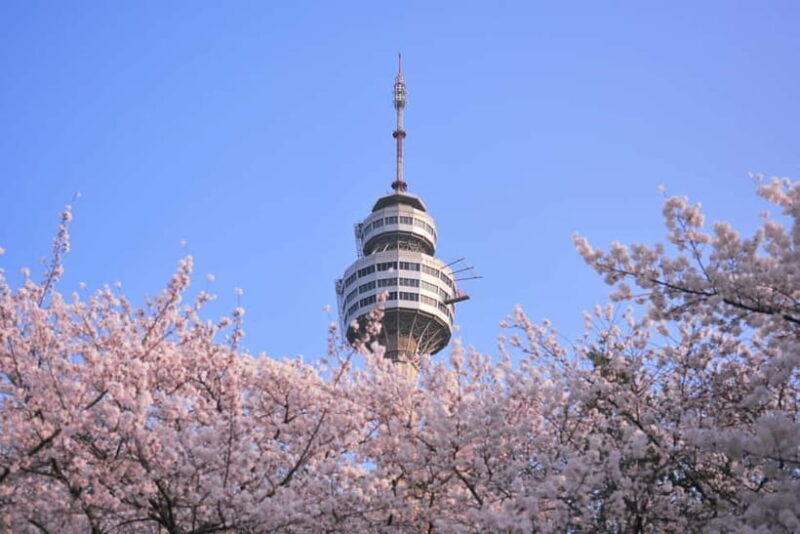 Daegu: Private Taxi Tour Car Charter - Pricing and Value