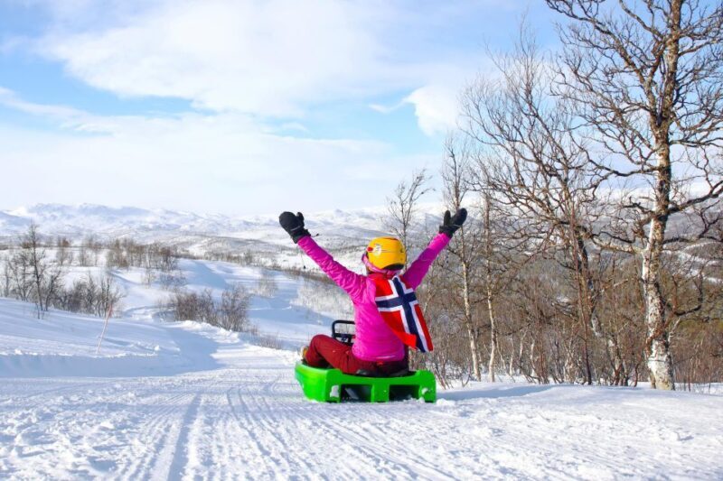 Dagali: 2-Hour Racing Toboggan Adventure - A Closer Look at the Experience