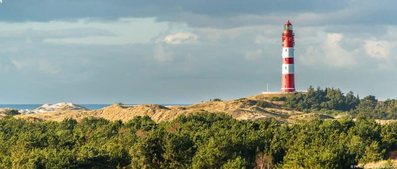 Dagebüll: Daytrip by boat to Amrum - Authentic Insights from Reviews
