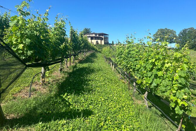 Dahlonega Wine & Dine Private Tour from Atlanta - FAQs