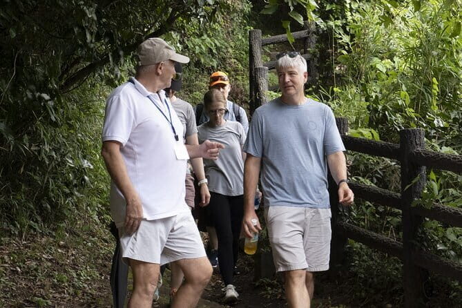 DAIBUTSU 3 Hours Private Walking Tour KAMAKURA - Key Points