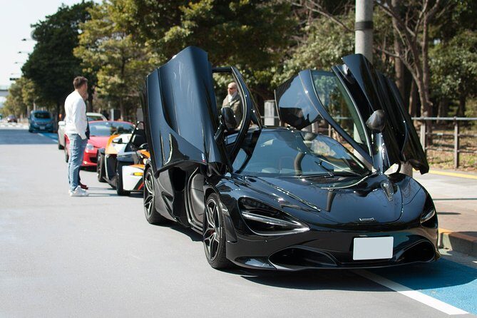 Daikoku PA & Tokyo Ultimate Driving Tour (JDM & Supercar) - Who Will Enjoy This Tour?