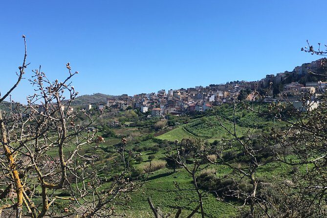 Daily Biking in the Rural Sicily - Who Is This Tour Best For?