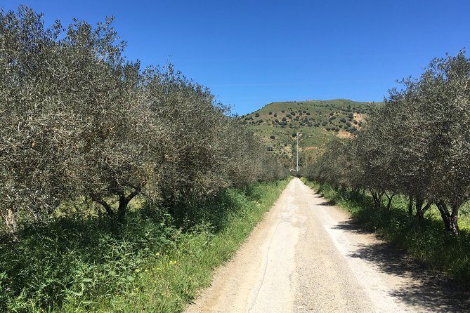 Daily Biking in the Rural Sicily - The Sum Up