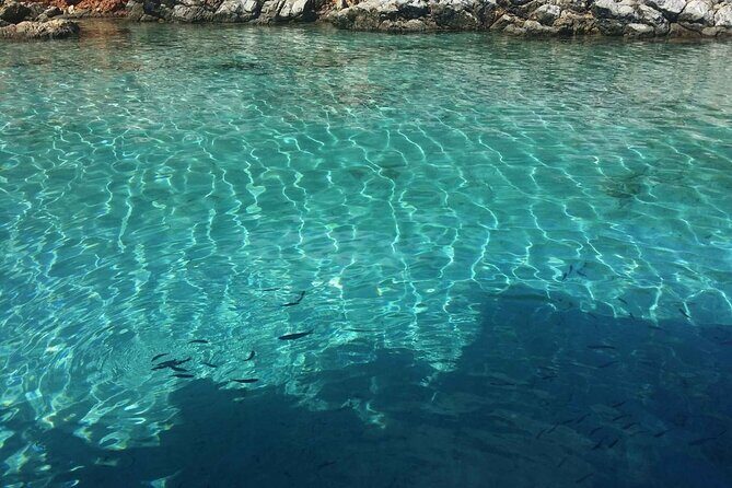 Daily Boat Trip in Bodrum with Lunch - Is This Tour Worth It?