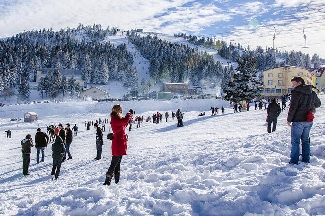 Daily Bursa Uludag Mountain & Cable Car Tour with Lunch from Istanbul - Who Will Appreciate This Tour?