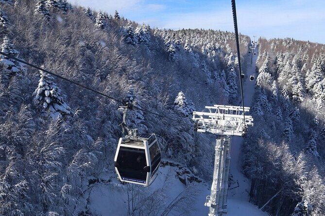 Daily Bursa Uludag Mountain & Cable Car Tour with Lunch from Istanbul - FAQ