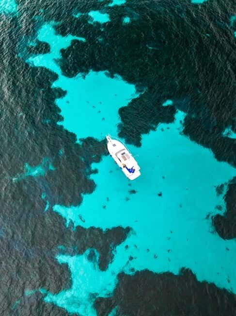 DAILY CHARTER OF THE EGADI ISLANDS WITH TASTING ON BOARD - Setting the Stage: What to Expect on the Day