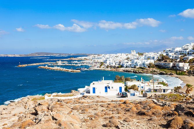 Daily Cruise from Paros to Delos Mykonos - Who Will Enjoy This Tour?