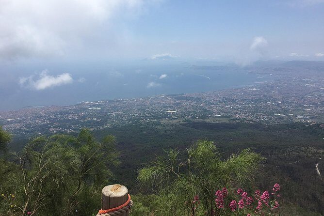 Daily Excursion Full Day 8 Hours ( Vesuvio Pompei) - The Sum Up