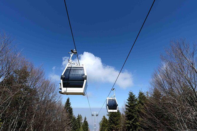 Daily Green Bursa Tour From Istanbul - FAQ: Your Practical Questions Answered