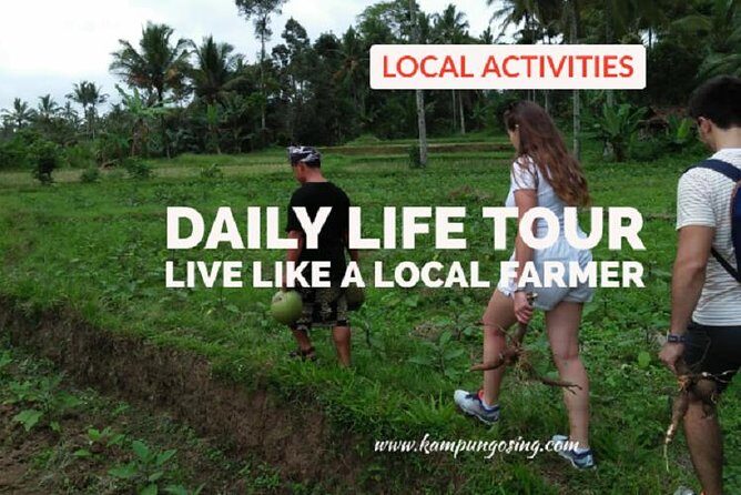 Daily Life Tour: Live Like A Local Farmer - A Hands-On Day with Farmers in Banyuwangi: Live Like a Local