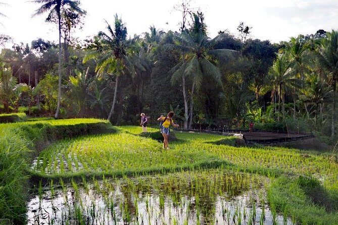 Daily Life Tour: Live Like A Local Farmer - Key Points