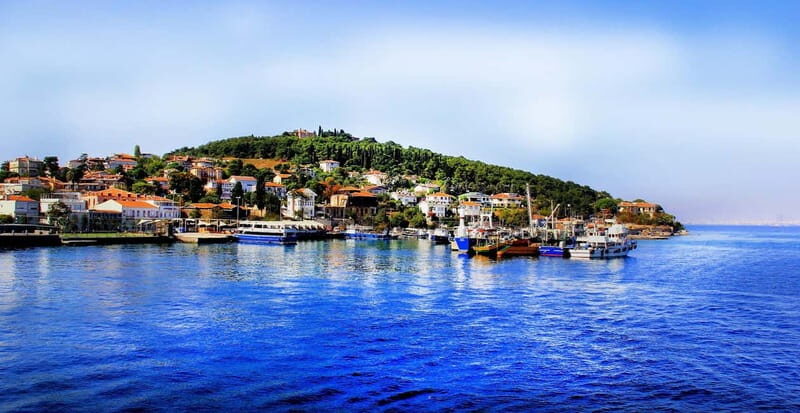 Daily Princes Island Tour from Istanbul - What You Can Expect from This Tour