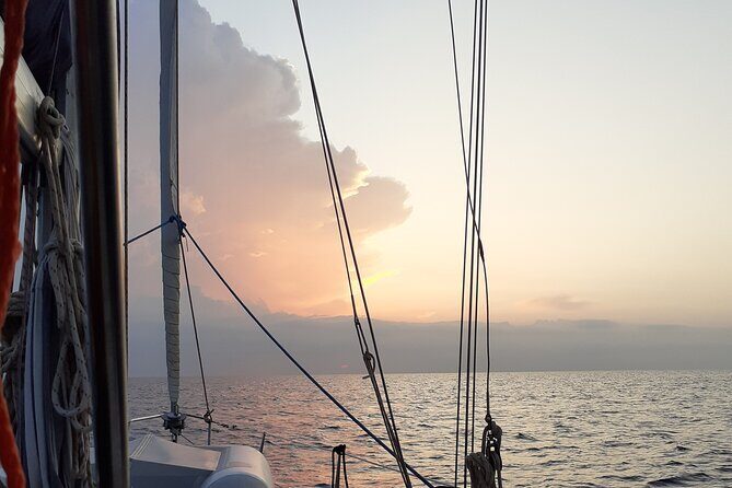 Daily Sailing Tour in Palermo with lunch. - Frequently Asked Questions
