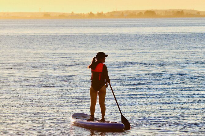 Daily SUP Paddleboard Rentals Package in Metro Vancouver - An Honest Look at the SUP Rental Experience