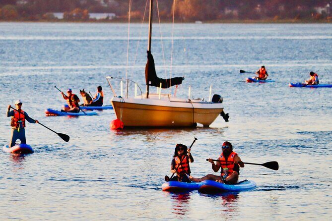 Daily SUP Paddleboard Rentals Package in Metro Vancouver - The Sum Up