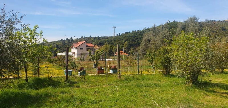 Daily Tour in Tirana - Key Points