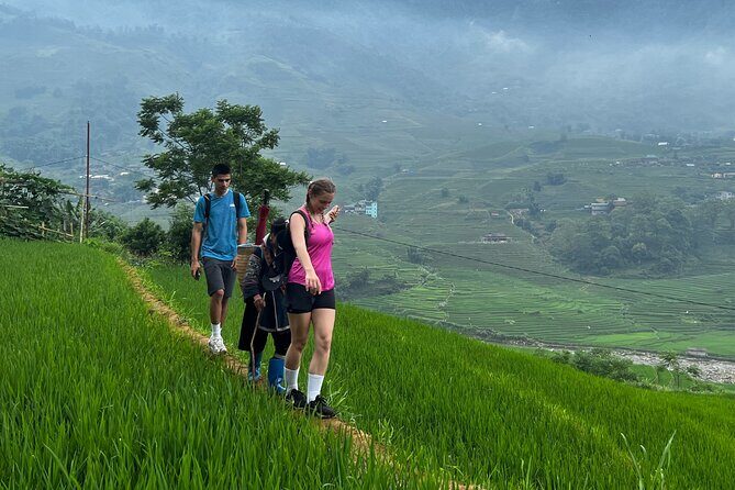 Daily Tour: Sapa Trekking in Muong Hoa valley, Bamboo forest - The Sum Up