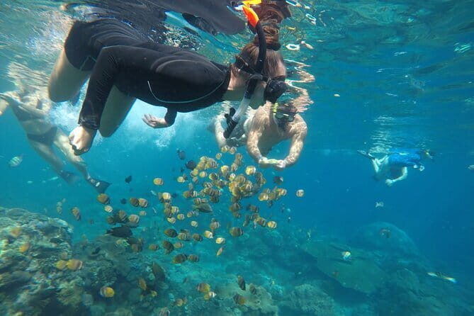 Daily West Nusa Penida Island and Snorkeling Tour with Lunch from Bali - Key Points