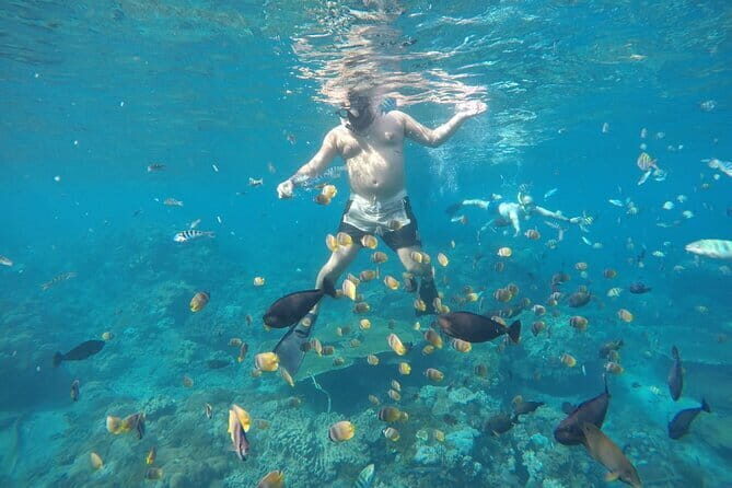 Daily West Nusa Penida Island and Snorkeling Tour with Lunch from Bali - Morning Pickup and Transfer