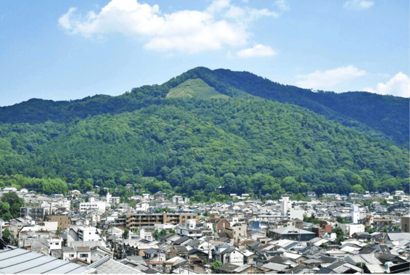 Daimonjiyama hiking tour: an adventure overlooking Kyoto - Additional Insights and Traveler Feedback
