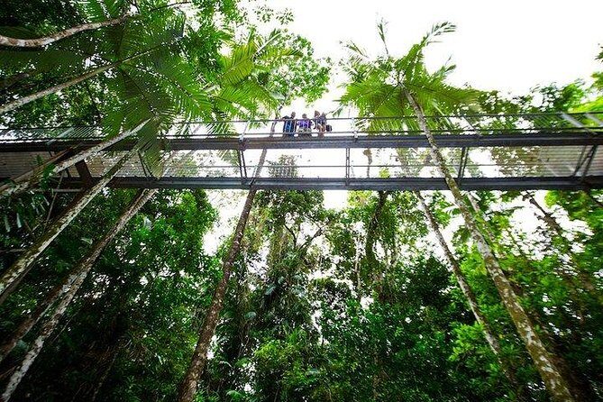 Daintree Discovery Centre Family Pass Ticket - An In-depth Look at the Daintree Discovery Centre