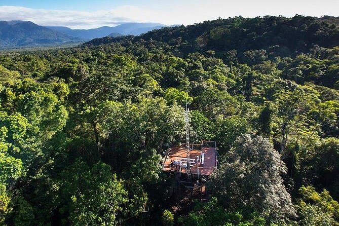 Daintree Discovery Centre Family Pass Ticket - Final Thoughts