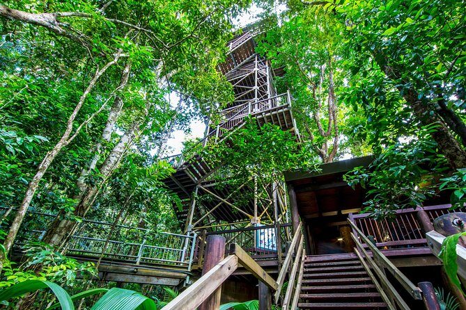 Daintree Discovery Centre Single Pass - An In-Depth Look at the Daintree Discovery Centre Experience