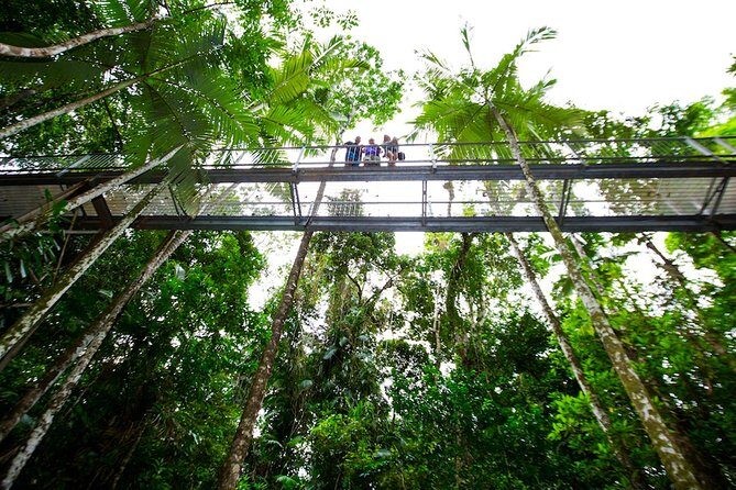 Daintree Discovery Centre Single Pass - Final Thoughts: Is It Worth It?
