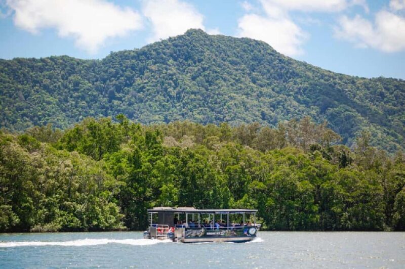 Daintree: Guided Daintree River Wildlife Cruise - Authentic Perspectives from Reviewers