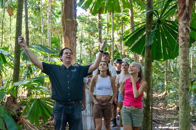 Daintree, Mossman Gorge and Wildlife Tour from Cairns - Exploring the Daintree, Mossman Gorge, and Wildlife Tour from Cairns