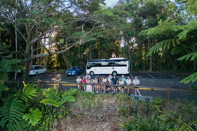 Daintree, Mossman Gorge and Wildlife Tour from Cairns - Value and Practical Considerations