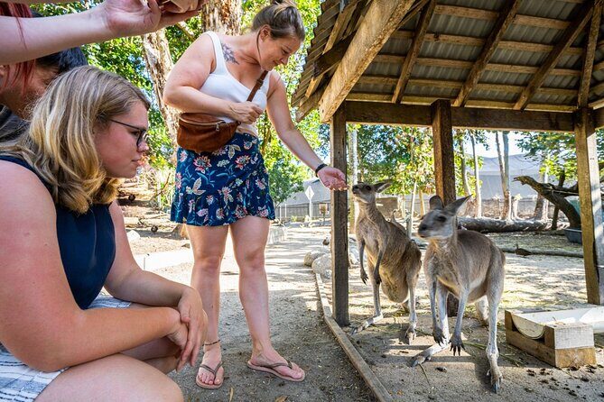 Daintree, Mossman Gorge and Wildlife Tour from Cairns - Authentic Insights from Reviews