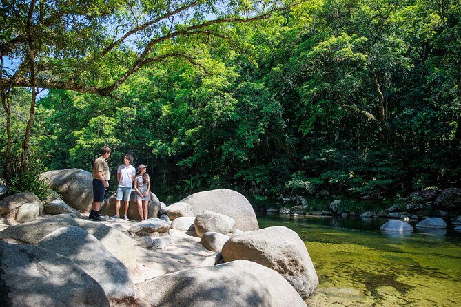 Daintree Rainforest and Cape Tribulation Day Tour from Cairns - An In-Depth Look at the Tour Experience