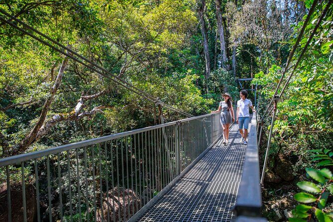 Daintree Rainforest and Cape Tribulation Day Tour from Cairns - FAQs