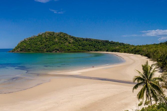 Daintree Rainforest and Cape Tribulation Day Tour from Cairns - Final Thoughts