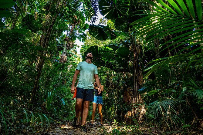 Daintree Rainforest and Mossman Gorge: Full Day Tour - Authentic Insights from Traveler Reviews