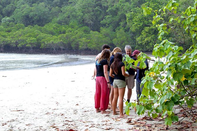 Daintree Rainforest and Mossman Gorge: Full Day Tour - Final Word: Who Will Love This Tour?
