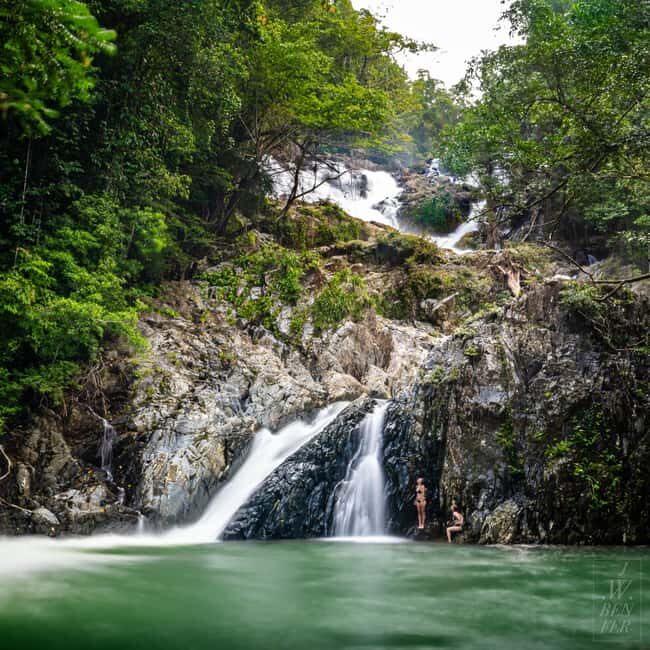 Daintree Rainforest: Magic Waterfall Walk with Lunch & Swim - Key Points