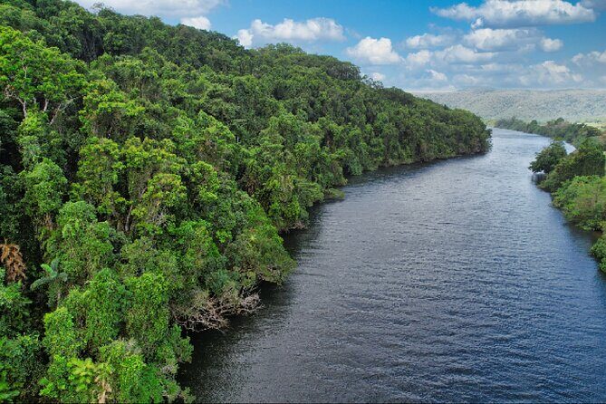 Daintree River Cruise - Additional considerations