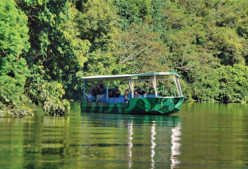 Daintree: River Rainforest Crocodile & Wildlife Cruise (DV) - Exploring the Itinerary and Routes