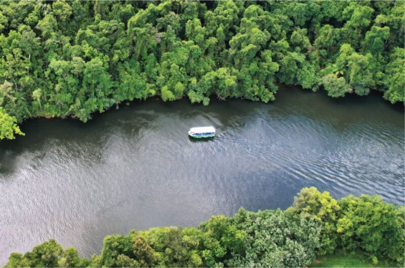 Daintree: River Rainforest Crocodile & Wildlife Cruise (DV) - Practical Tips for Visitors